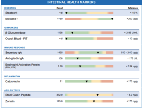 Decoding the GI MAP: A Comprehensive Guide to Interpreting Your Gut ...