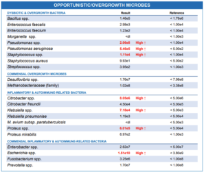 Decoding the GI MAP: A Comprehensive Guide to Interpreting Your Gut ...