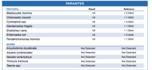 Decoding the GI MAP: A Comprehensive Guide to Interpreting Your Gut ...