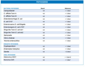 Decoding the GI MAP: A Comprehensive Guide to Interpreting Your Gut ...