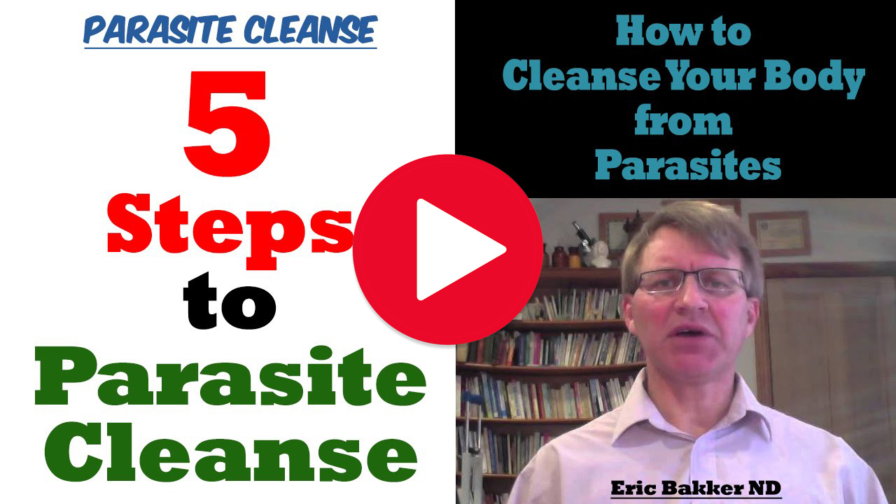 Parasite Cleanse: Natural Way To Get Rid of Parasites | CanXida Blog