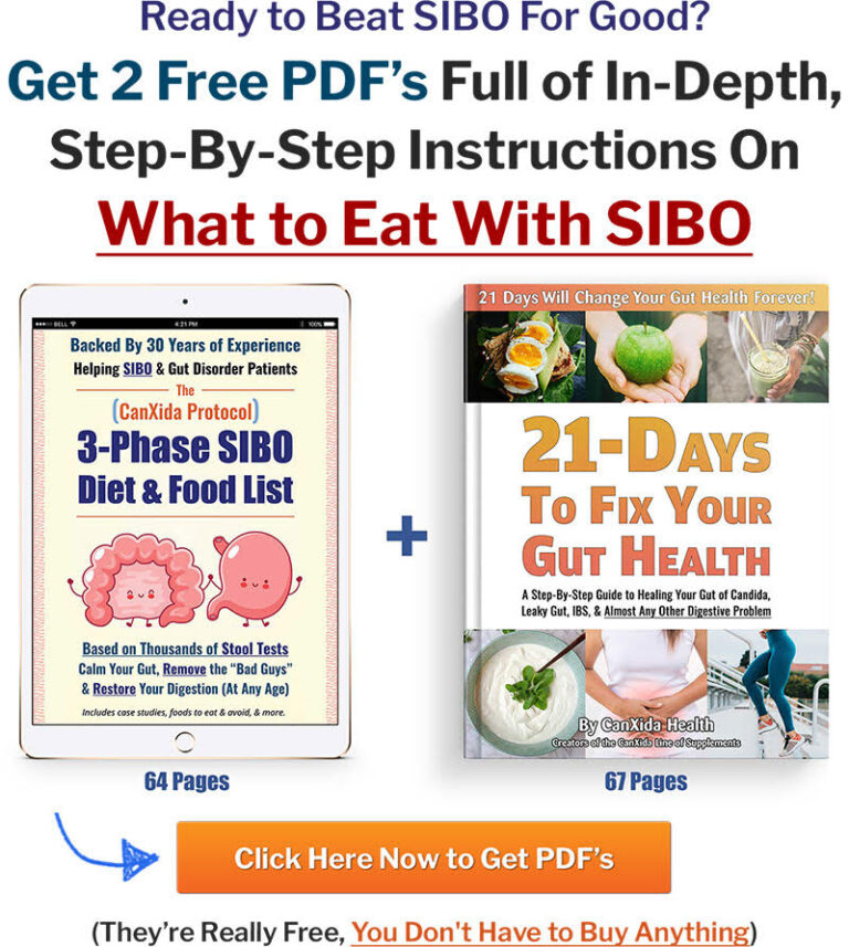 SIBO Diet: Comprehensive SIBO Diet Guide for Effective Gut Health | CanXida Blog
